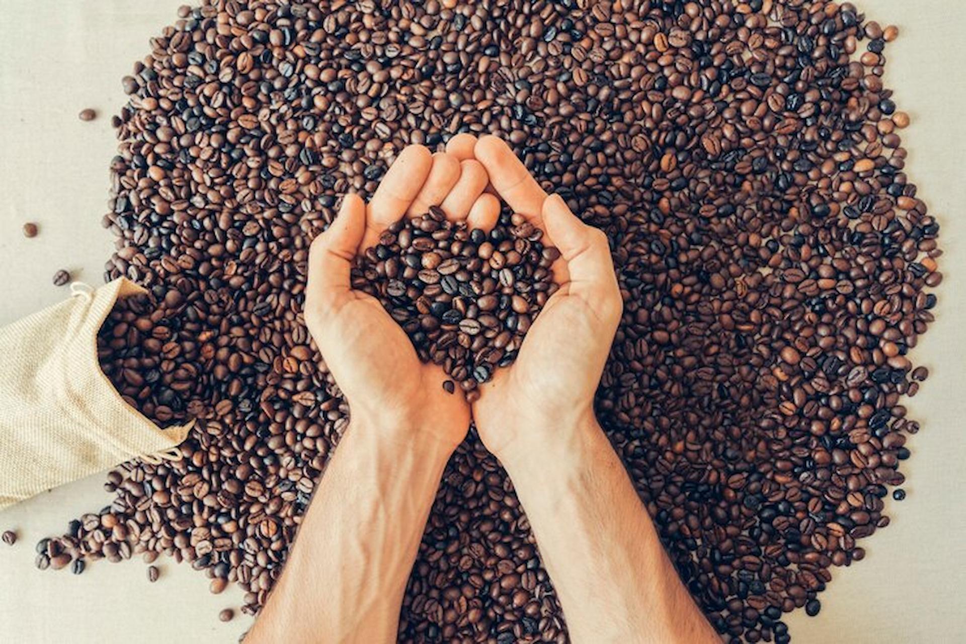 Brazilian Santos Coffee: Samba in Your Cup